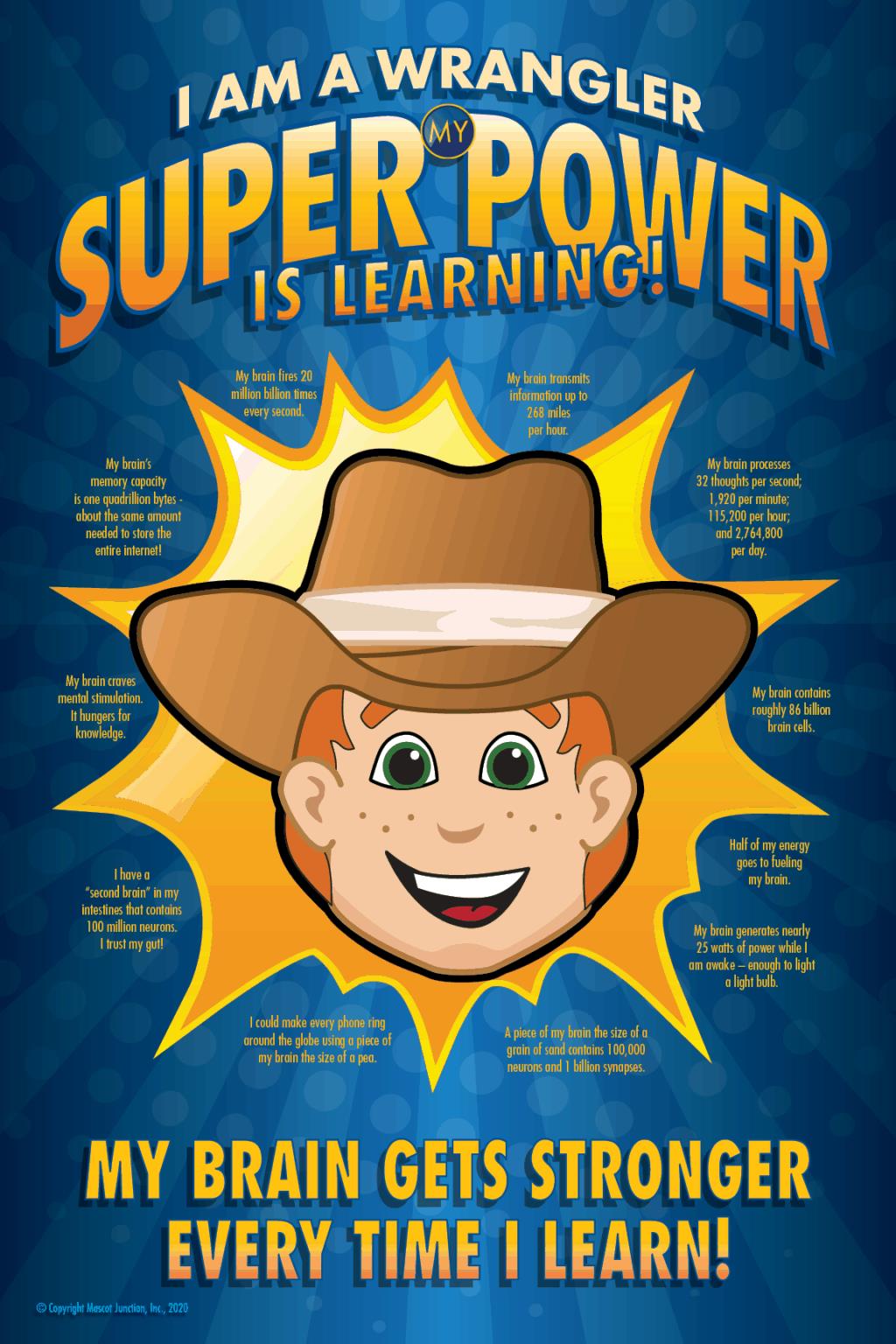 Cowboy / Cowgirl Mascots - PBIS Posters