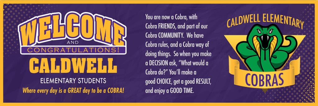Welcome-message-cobra - Mascot Junction