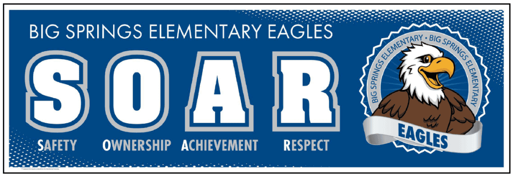 Eagle Mascot - PBIS Posters & Banners